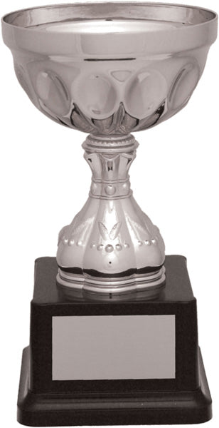 Arlington Cup – Xcaliber Trophies